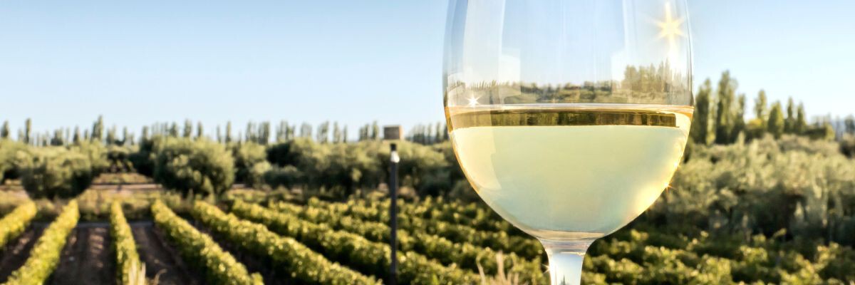 Crisp, Cool, & Collected: Unique White Wines to Try - Gary's Wine ...