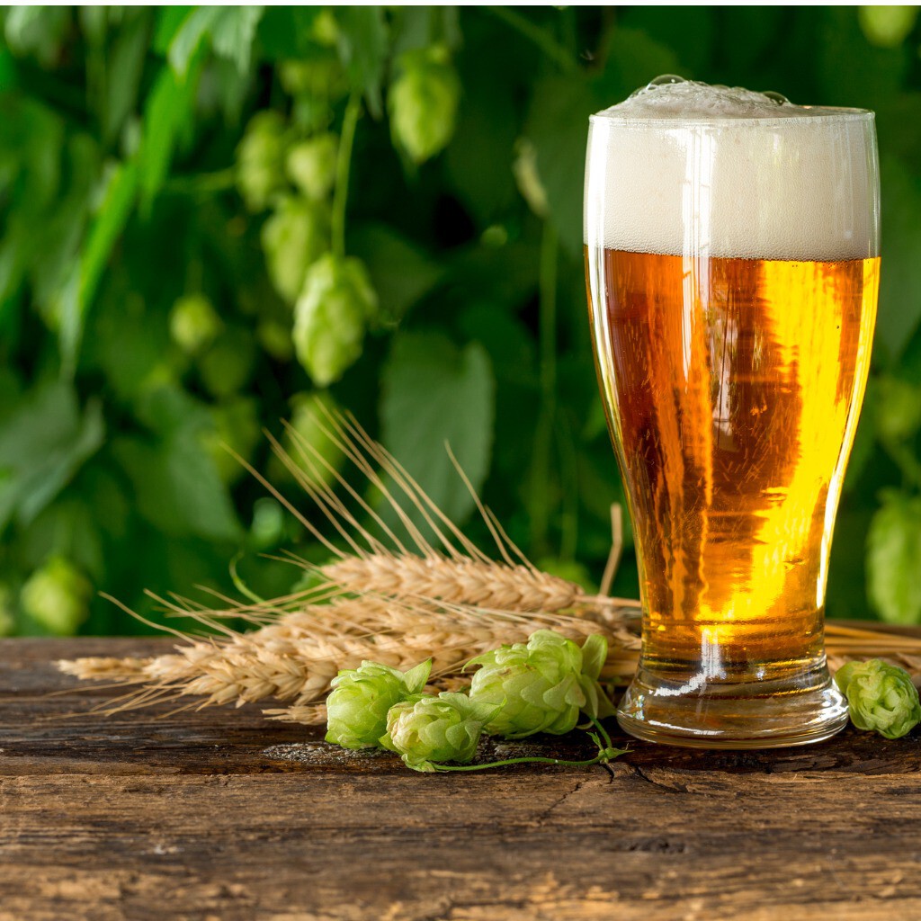 Sip Into Spring Craft Brew Fest - Cape Cod Package Store Fine Wine ...