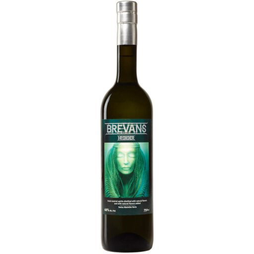 Brevans H R Giger Swiss Absinthe Verte - Bevmax Superstore